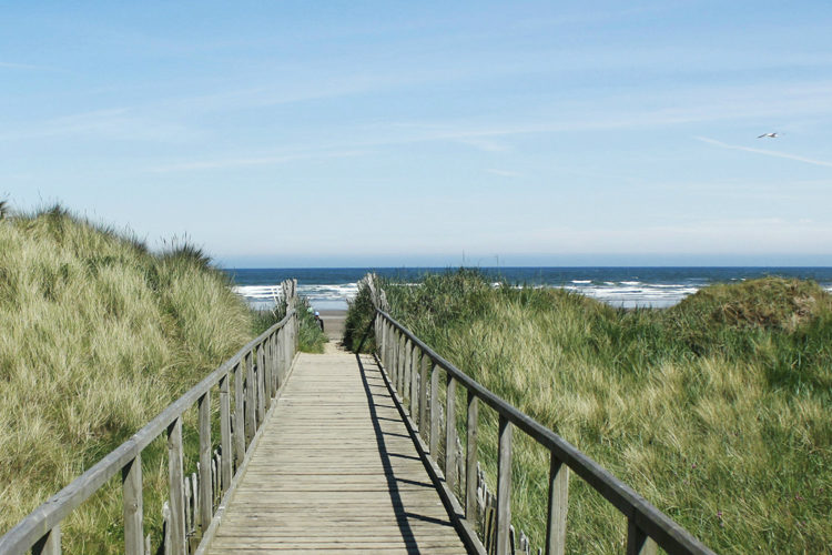 Library blog – News and information from the University of St Andrews ...